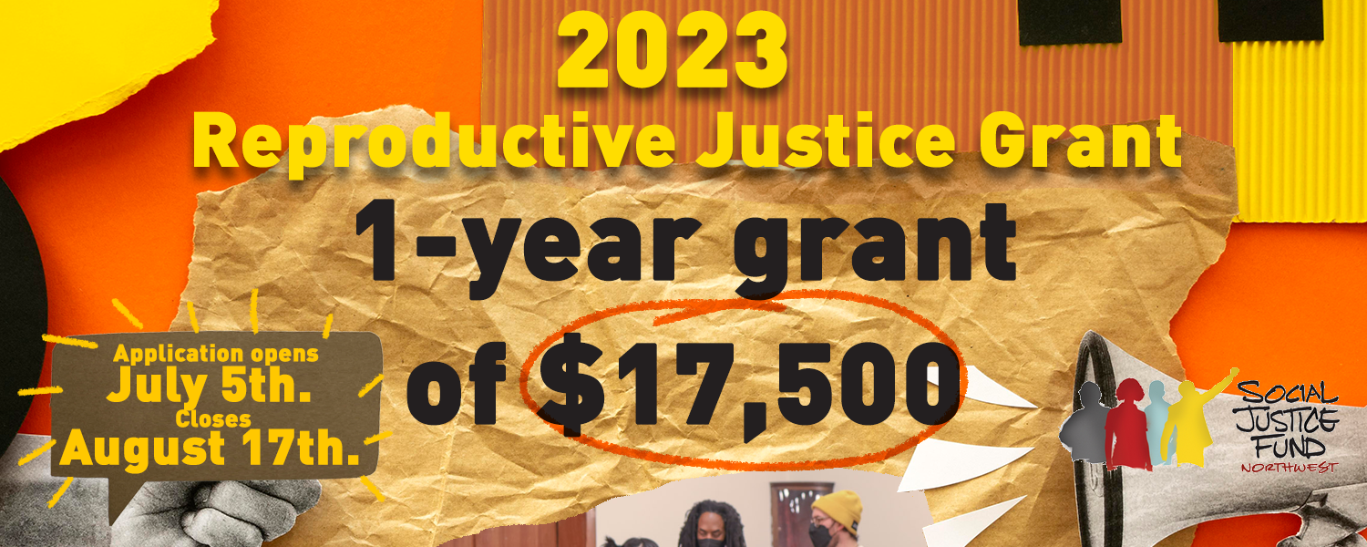 Now announcing the 2023 Reproductive Justice Grant! - Social Justice ...